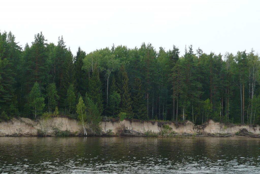 Olonetsky Wildlife and Nizhnesvirsky Nature Preserves - Bird Watching ...